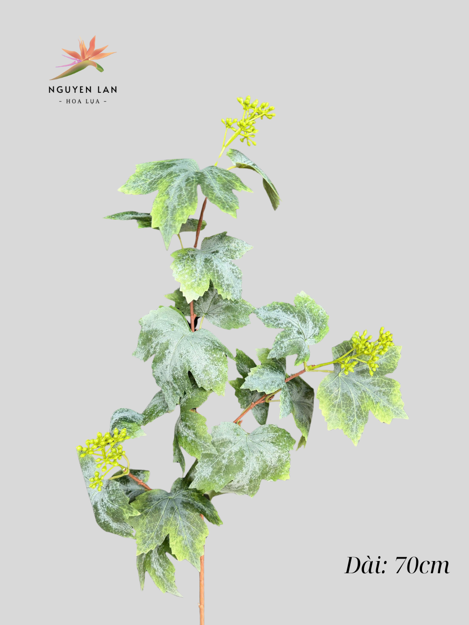 Lá Dâu - Hoa Lụa Nguyễn Lan