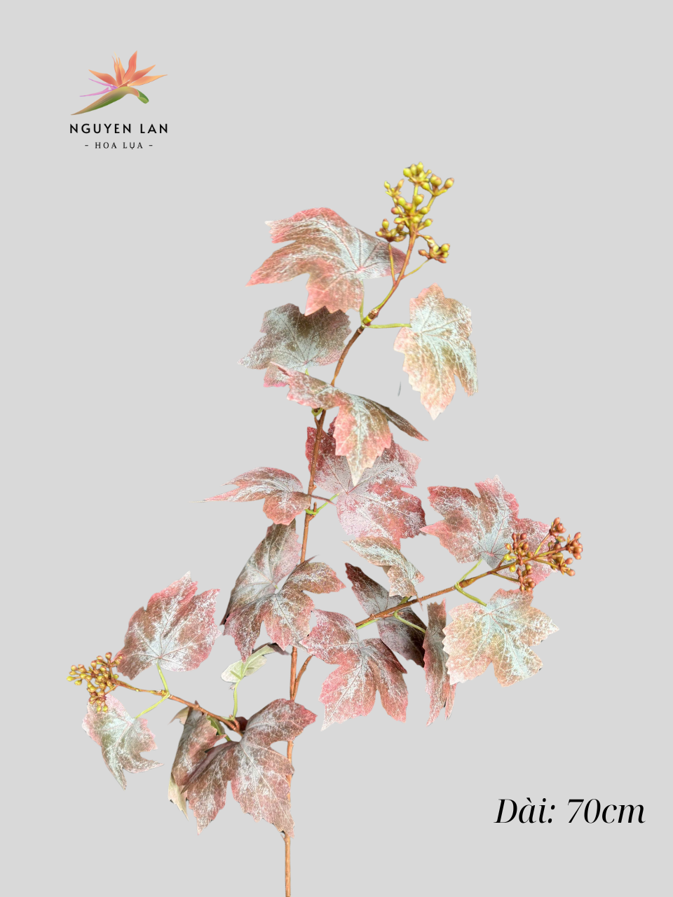 Lá Dâu - Hoa Lụa Nguyễn Lan